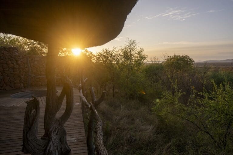 Lelapa Camp | Madikwe Safari Lodge